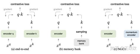 入门必看：对比自监督学习（contrastive Self Supervised Learning） 知乎