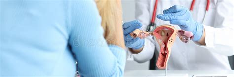 Gynecologist Shows Patient Work On Training Model Of Female