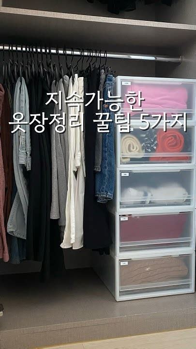 정리가 쉬워지는 지속가능 옷장정리 꿀팁 5가지 정리수납 1급 자격증 내용을 토대로 우리집 옷장 새해맞이 환골탈태 비법 꿀팁 살림템 살림꿀템 살림팁 옷장정리