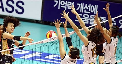 양효진 네트에 강스파이크