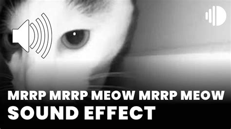 Mrrp Mrrp Meow Mrrp Meow Sound Effect Mp3 Download
