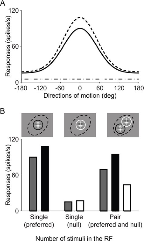 Figure 1 From A Normalization Model Of Attentional Modulation Of Single Unit Responses