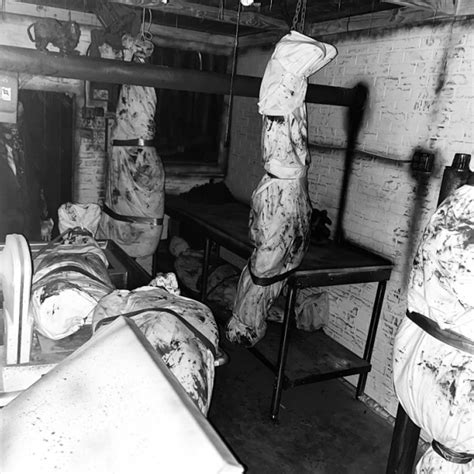 Sweet Dreams Haunted Attraction Alabama Haunts Scare Factor