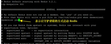 在 Linux 服务器上 进行 Redis 安装 Acwing