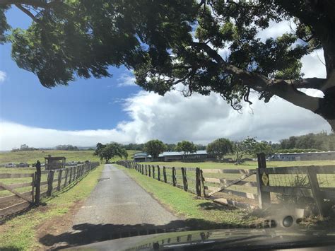 Henry Kapono And Brother Noland Conscious Maui