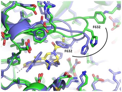 Structural Alignment Between Tofacitinib And Ro 31 8220 Showing A Large