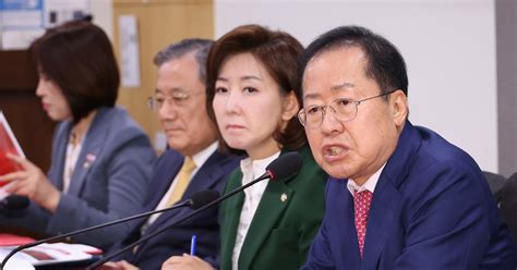 친한계 때린 홍준표 “현실정치 은퇴한 일 없다용병 뜻도 모르나”