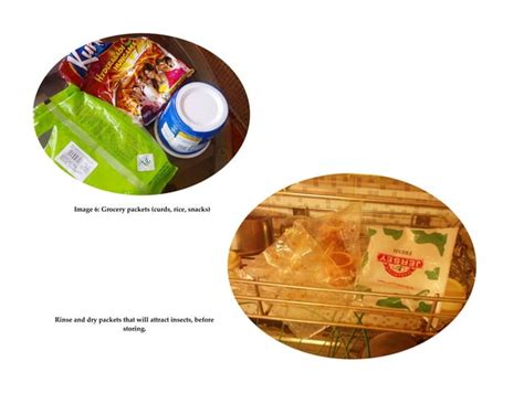 Trash Segregation Ppt
