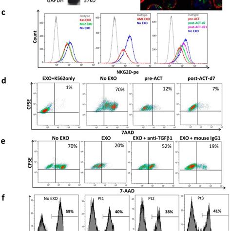 Nkg2d Receptor Downregulation In Nk 92 Cells And Inhibition Of Nk 92