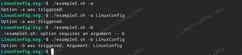 comment passer des arguments dans un script bash avec des exemples