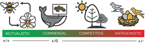 Coevolution Biology Simple