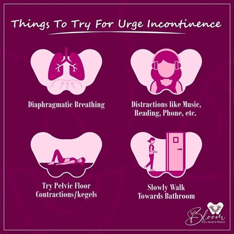 A Comprehensive Guide To Bladder Health Tips For A Happy And Healthy
