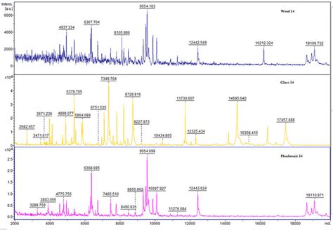 Representative Maldi Tof Mass Spectra Of B Subtilis A 3 Day B 5