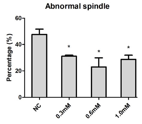 Concentration Dependent Effect Of NAC On Spindle Morphology In