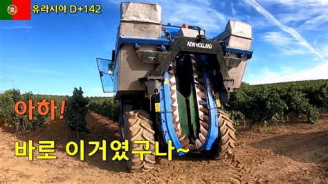 유라시아 142일차 포르투갈 알렌케에르 시작부터 15 급경사 헉 높이 오르면 육체는 힘들어도 눈이 즐거울 수 있다고
