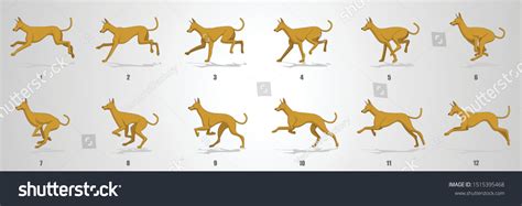 Run Cycle Animation Sequence Animation Frames Stock Vector Royalty Free