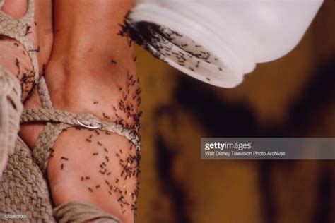 Lynda Day George Feet