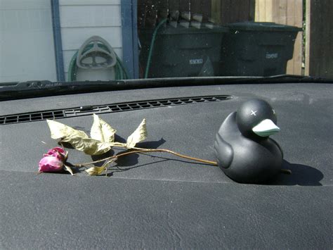Dashboard Rejection By Osyris On Deviantart