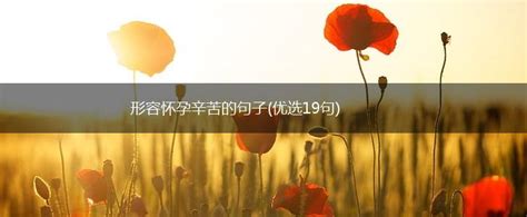 形容怀孕辛苦的句子 优选 句