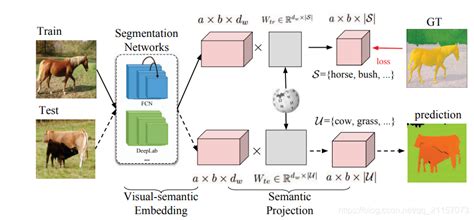 零样本语义分割总结（zero Shot Semantic Segmentation） Csdn博客