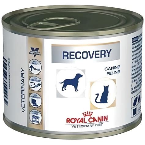 ROYAL CANIN Pâtée Recovery - Pour chien et chat en convalescence ...