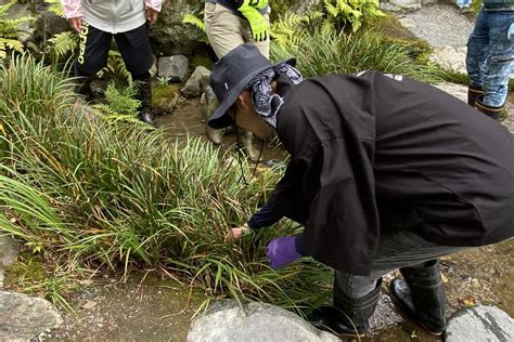 6月庭職人と庭園スタディー2023夏の庭流れと滝周辺のお手入れ 京都 東山南禅寺界隈の傑作日本庭園 名勝無鄰菴