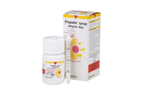 Dog Incontinence Medication Types Canine Incontinence Drugs