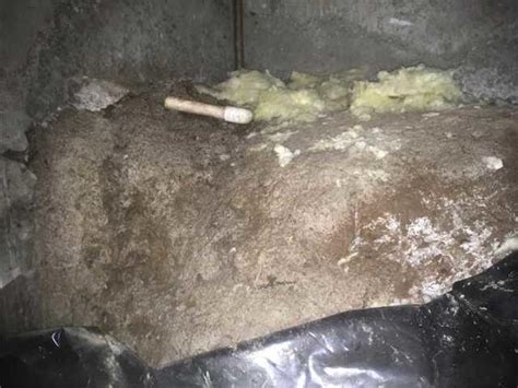 Johns Waterproofing Sump Pumps Photo Album Wet Crawl Space