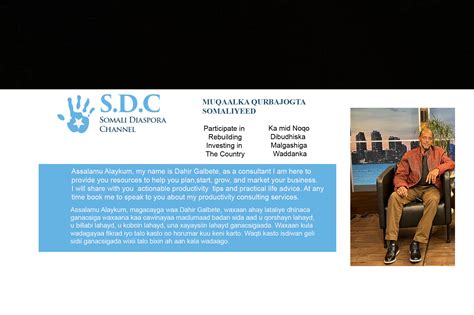 Investing In Somalia Encourage Somali Diaspora In Investing In 4