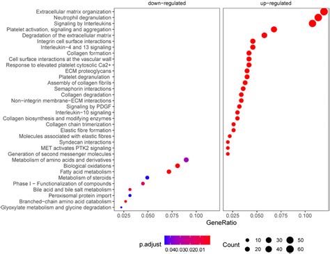 Gene Set Enrichment Analysis Enrichment Of Reactome Pathways By