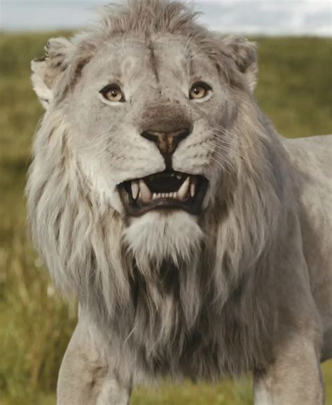 Azibo The Lion King Wiki Fandom