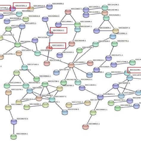 A Basic Stem Loop Structures Of Predicted Micrornas Mirdeep2 Was Download Scientific Diagram
