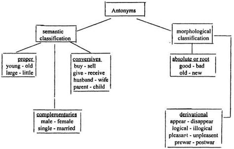Antonyms And Their Classification