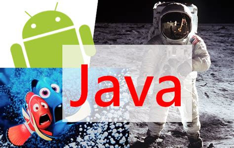 Java Codecampus