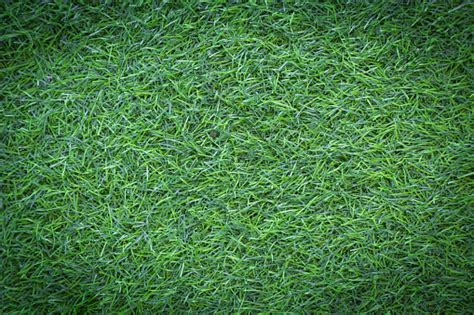 필드 질감 잔디 골프장 축구장 또는 스포츠 배경 컨셉 디자인 인공 잔디입니다 0명에 대한 스톡 사진 및 기타 이미지 0명