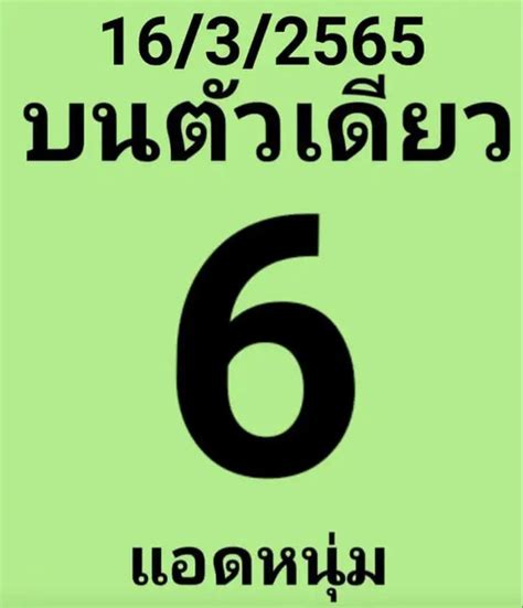 ปักพินโดย สมบัติ นานา ใน แมว เชียงใหม่ การถ่ายภาพธรรมชาติ