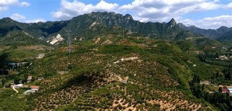 点赞河北3项宣化占1项 农业 系统 板栗