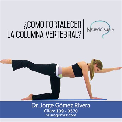 ¿cómo Fortalecer La Columna Vertebral Neuro Gomez