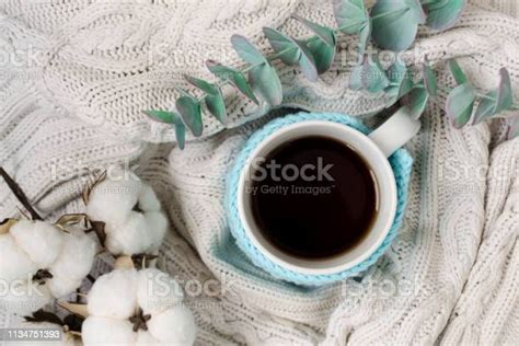 니트 홀더에 화이트 컵 차 커피 니트 격자 무늬 유칼립투스와 코 튼 가지 주위 플랫 레이 텍스트에 대 한 장소가 있다 0명에 대한 스톡 사진 및 기타 이미지 Istock