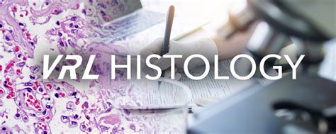 Customize Your Histology Program With Vrl Vrl Diagnostics