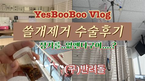 Vlog 쓸개제거 수술 후기 Youtube