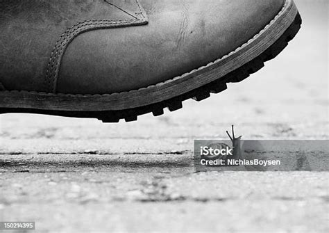 Brand Boysen • Ads Of The World™ Part Of The Clio Network