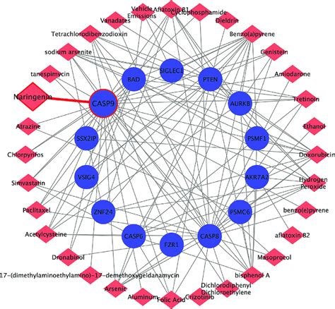 Establishment Of Gene Compound Interaction Network Drug Targets Of Hub