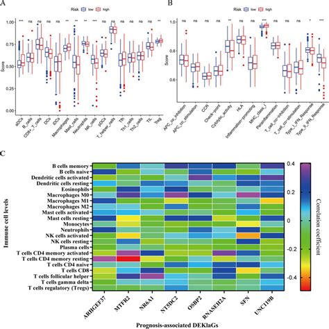 Kla Was Related To Hcc Immune Infiltration A High Risk Score Was