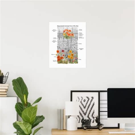 Dermatology Skin Anatomy Art With Floral Details Poster Zazzle