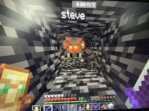 Pet Spider Steve Minecraft