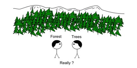 Trees Vs Forest Psychology Compass