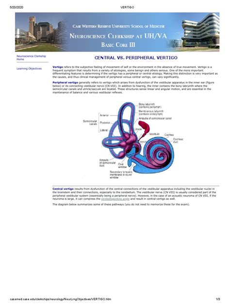 Central Vs Peripheral Vertigo Pdf Vertigo Vestibular System