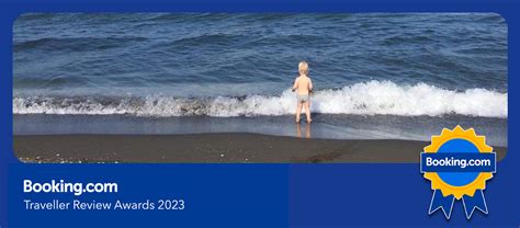 The Cone Culture Ice Cream The Cone Culture Ice Cream