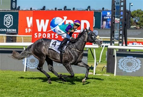 Plattner Grey Puts Derby Hand Up Sporting Post